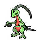 Grovyle - Pokémon Tournament History – Limitless VGC