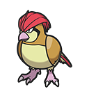 Pidgeotto – Limitless VGC